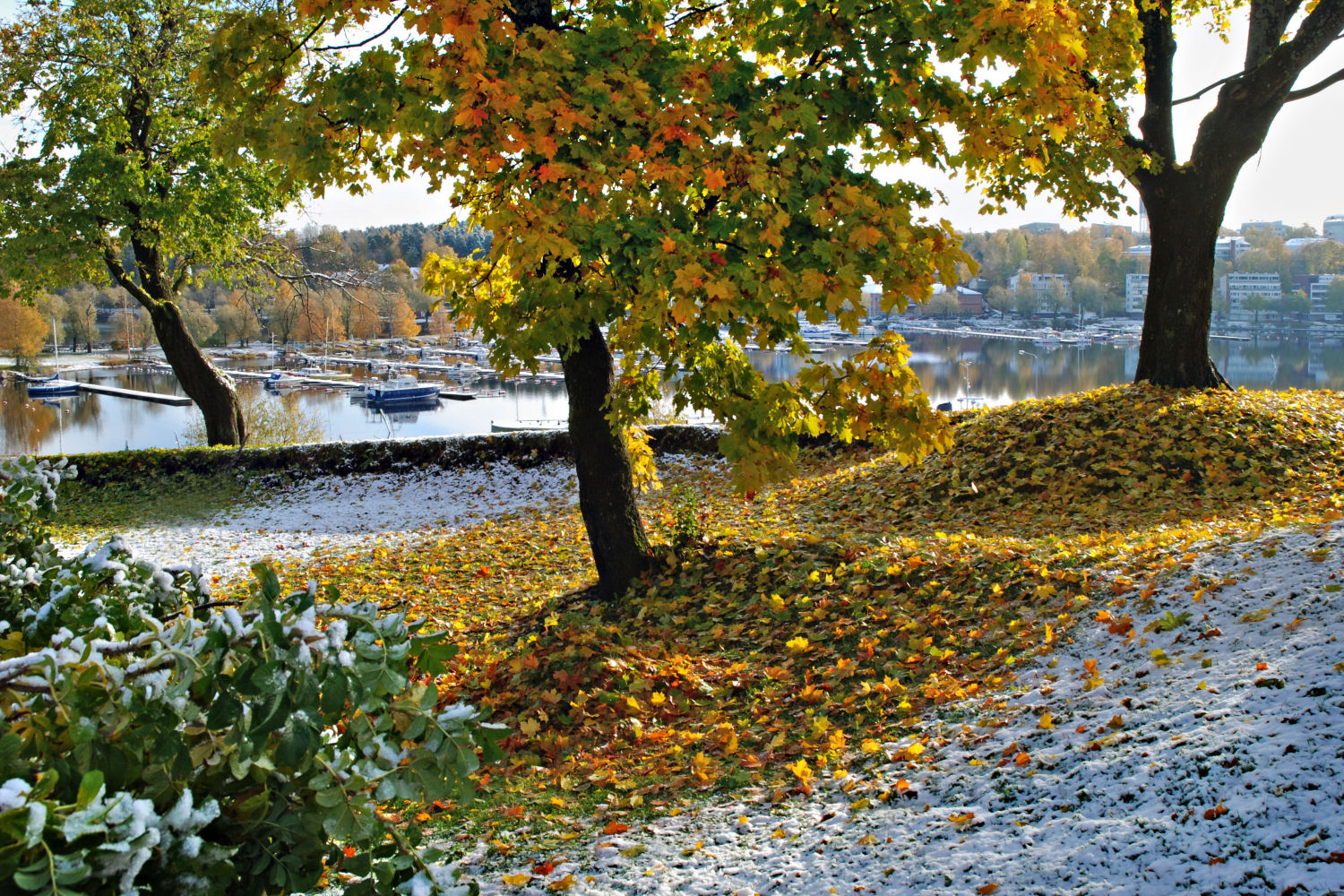 Kirpputorit ja antiikki - VisitLappeenranta